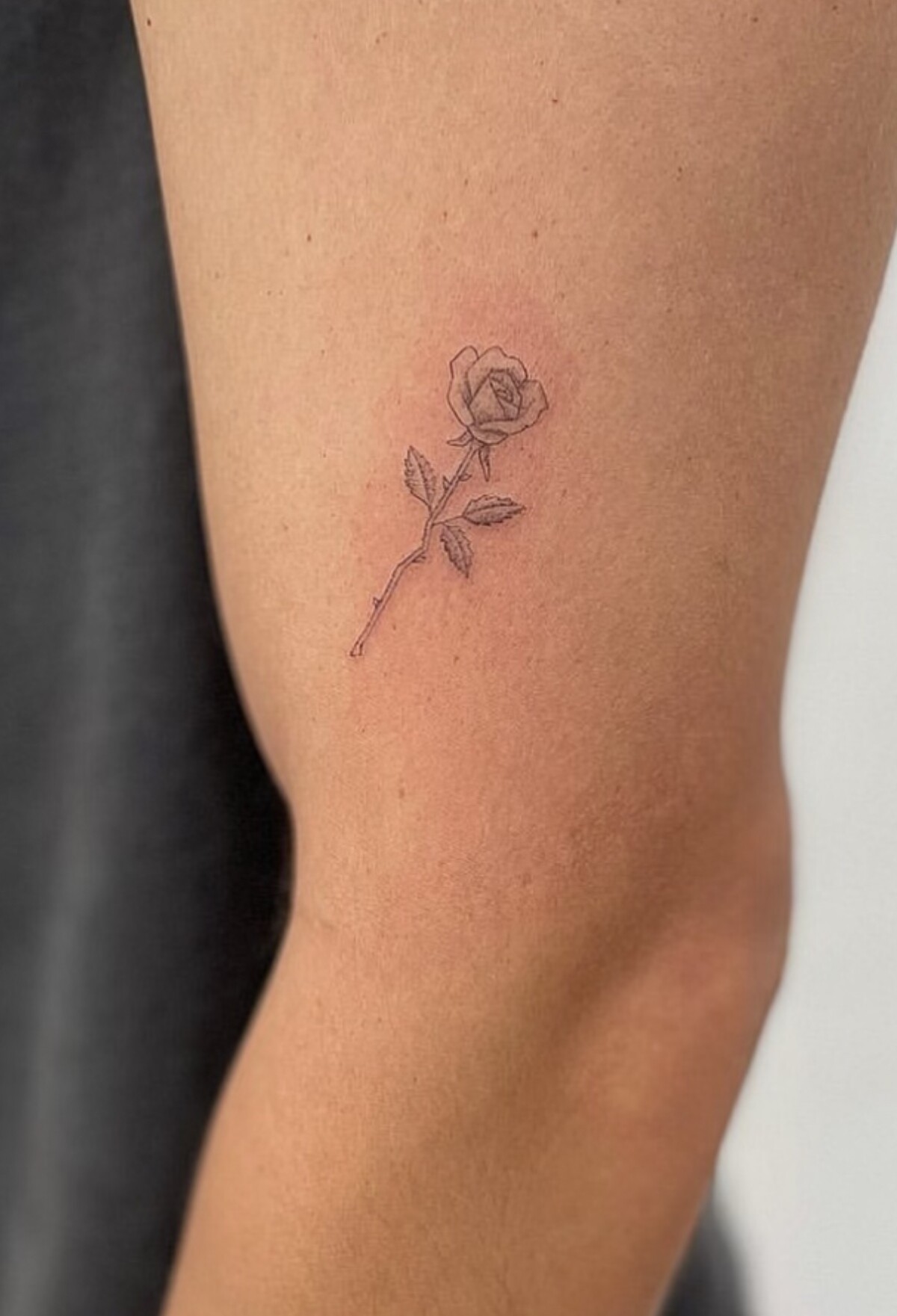 JOEY - NightSchool Tattoo